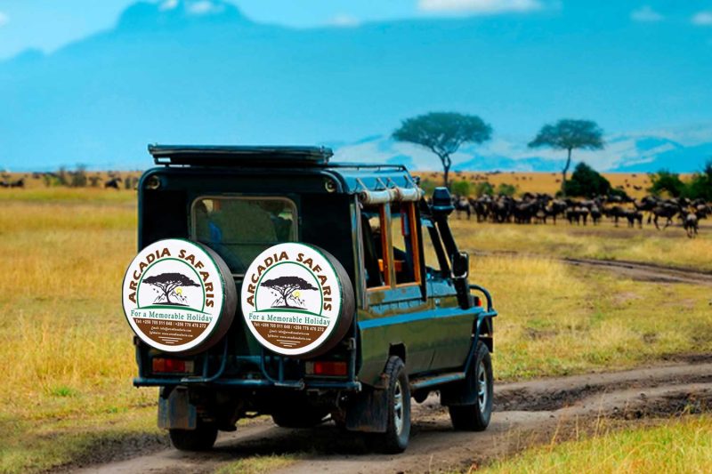 Safari in Africa - Uganda Safaris | Gorilla Trekking - Arcadia Safaris