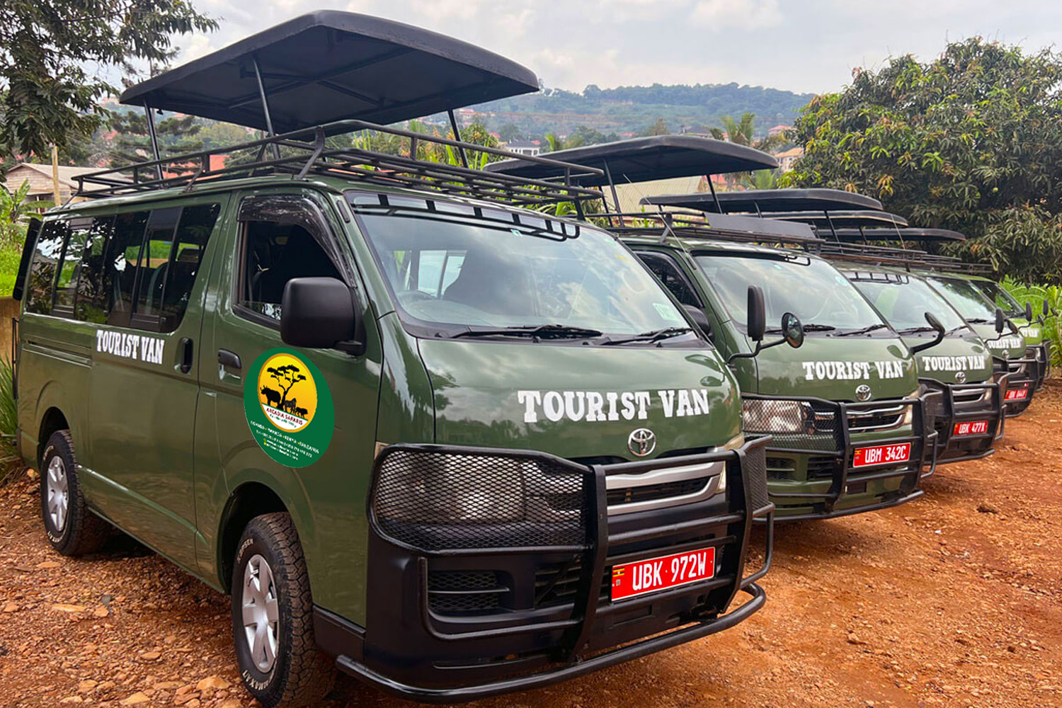 About Us, We are a team of passionate - Arcadia Safaris